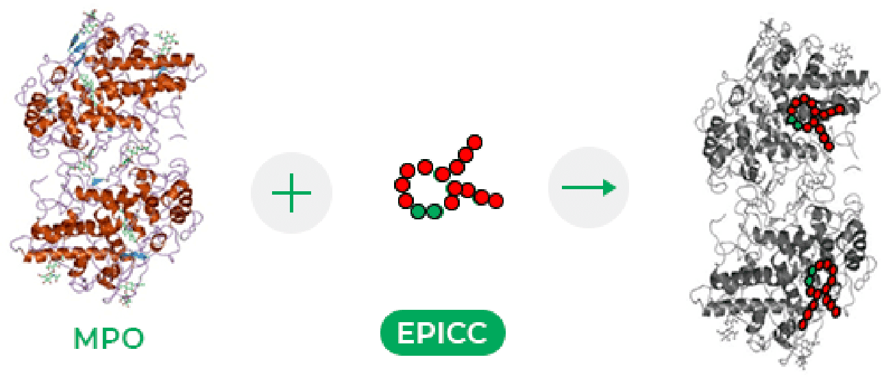 Our Science – Dual Target MoA